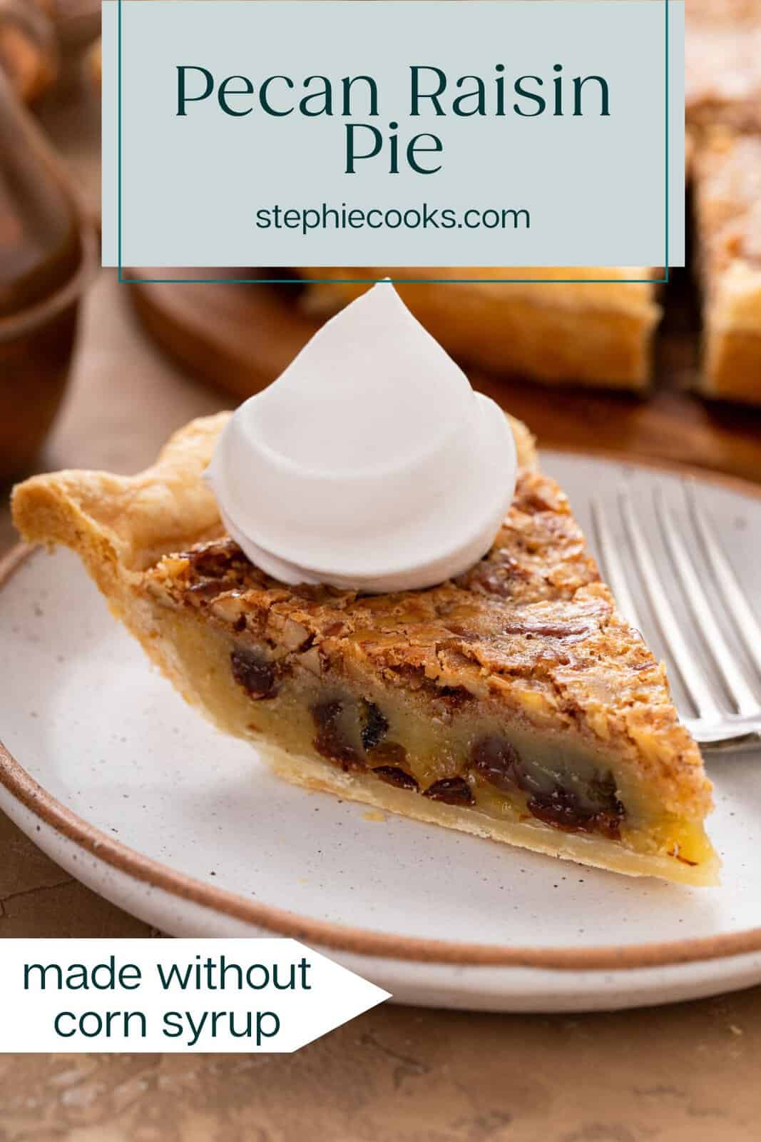 Pecan Raisin Pie | Stephie Cooks