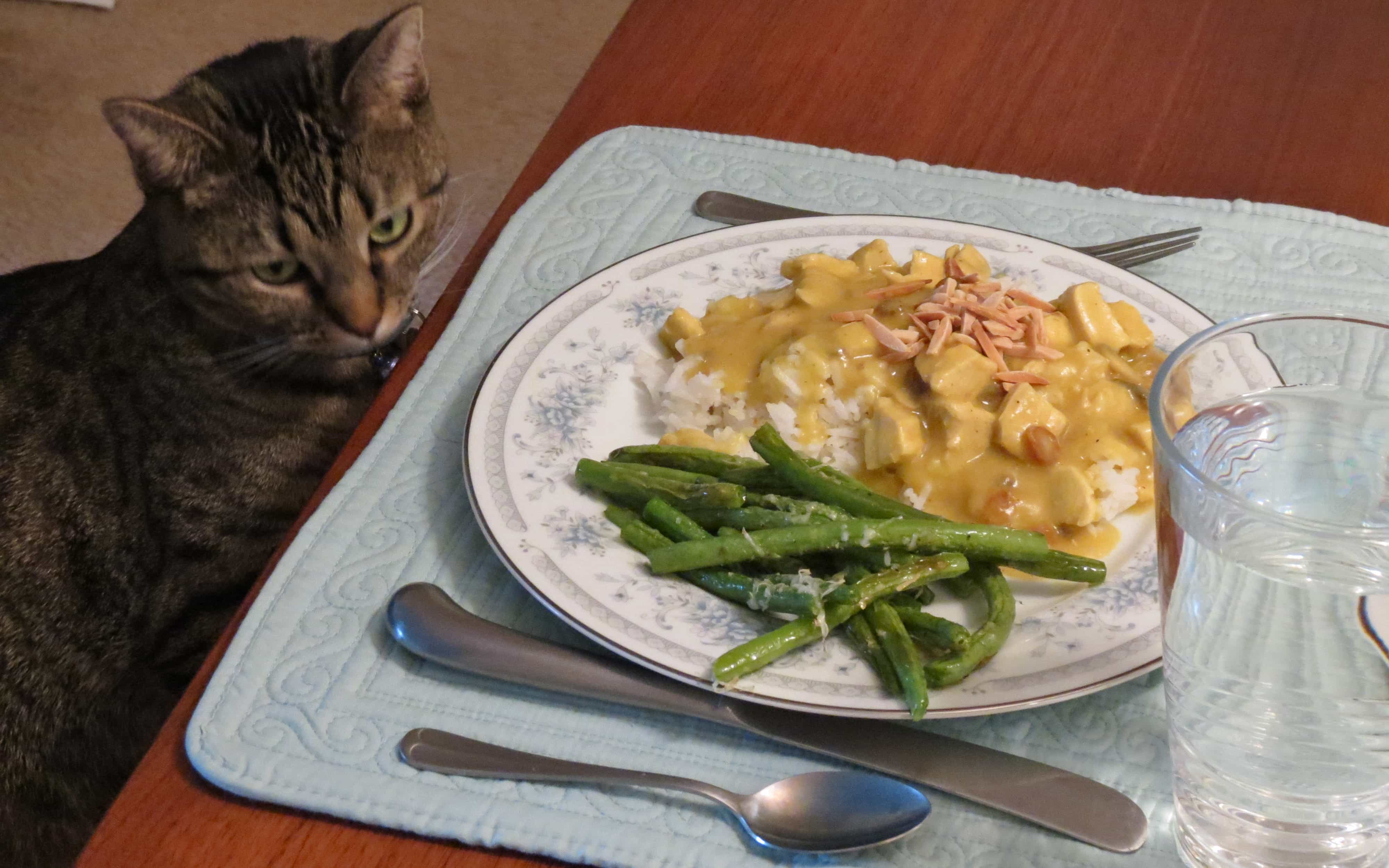 Curried Turkey Almondine | Stephie Cooks