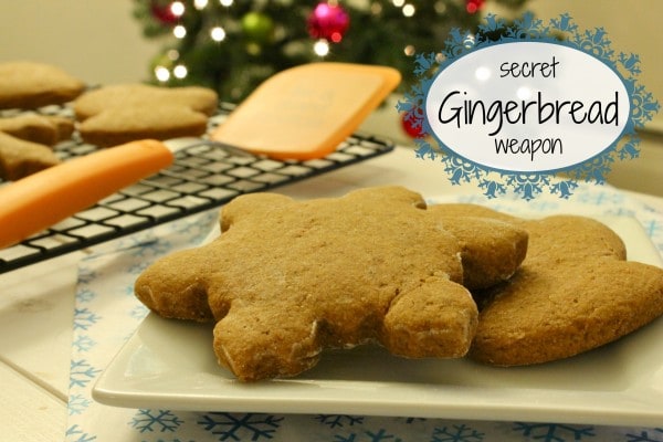 Treats for Santa: Secret Weapon Gingerbread | Stephie Cooks