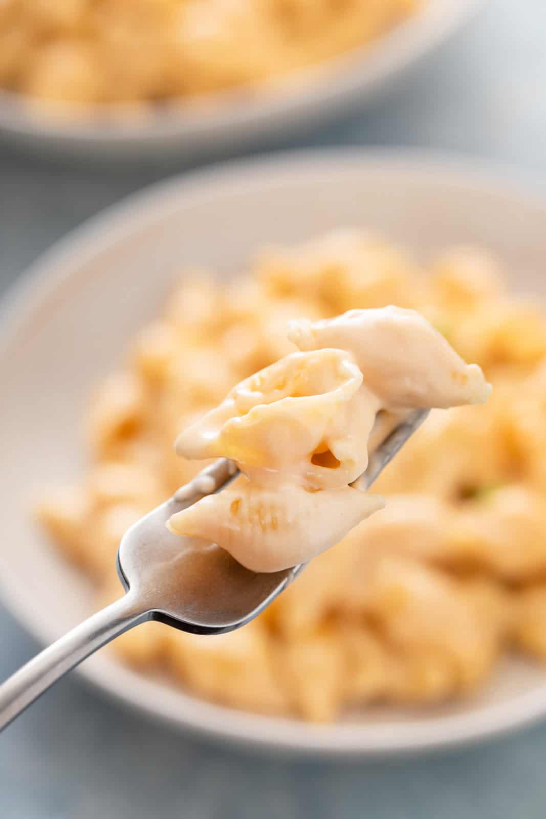 Homemade Shells and Cheese | Stephie Cooks